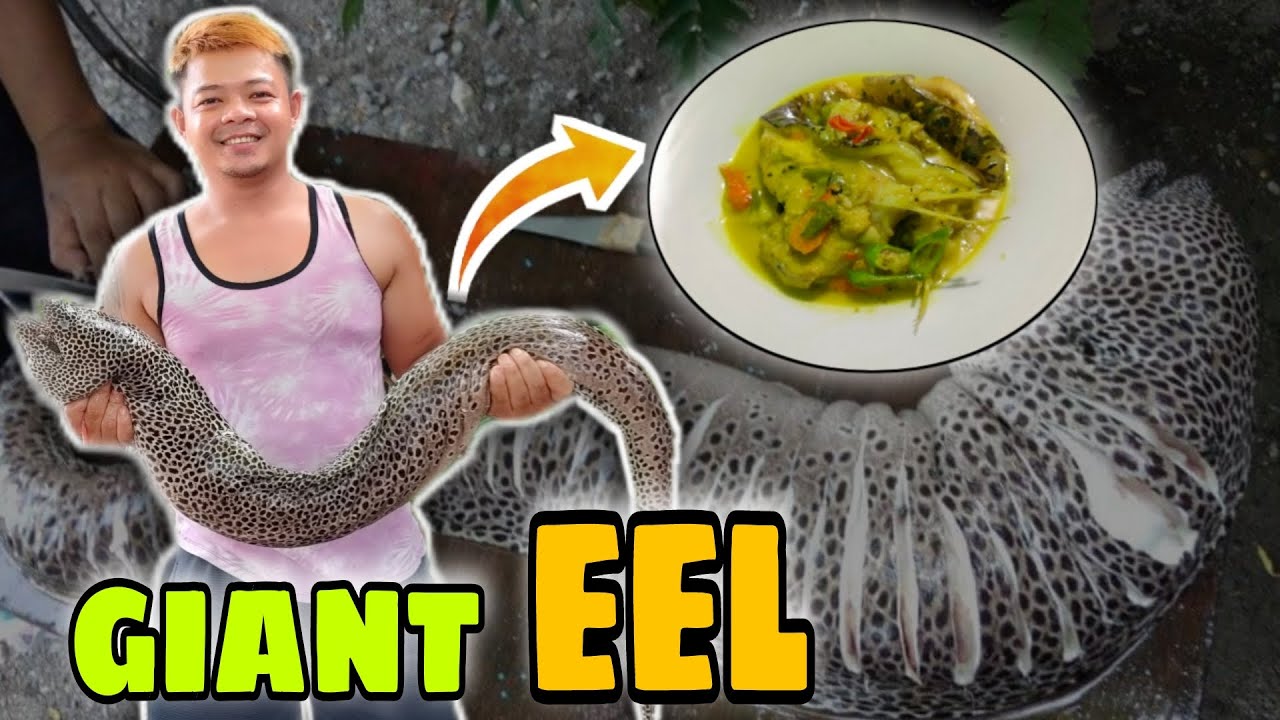 GINATAANG IGAT SA LUYANG DILAW | BEST WAY TO COOK EEL - YouTube
