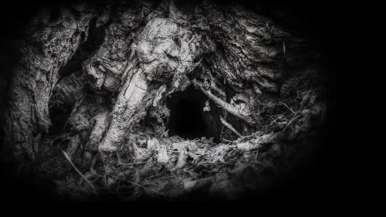 Oraculum Teaser - YouTube