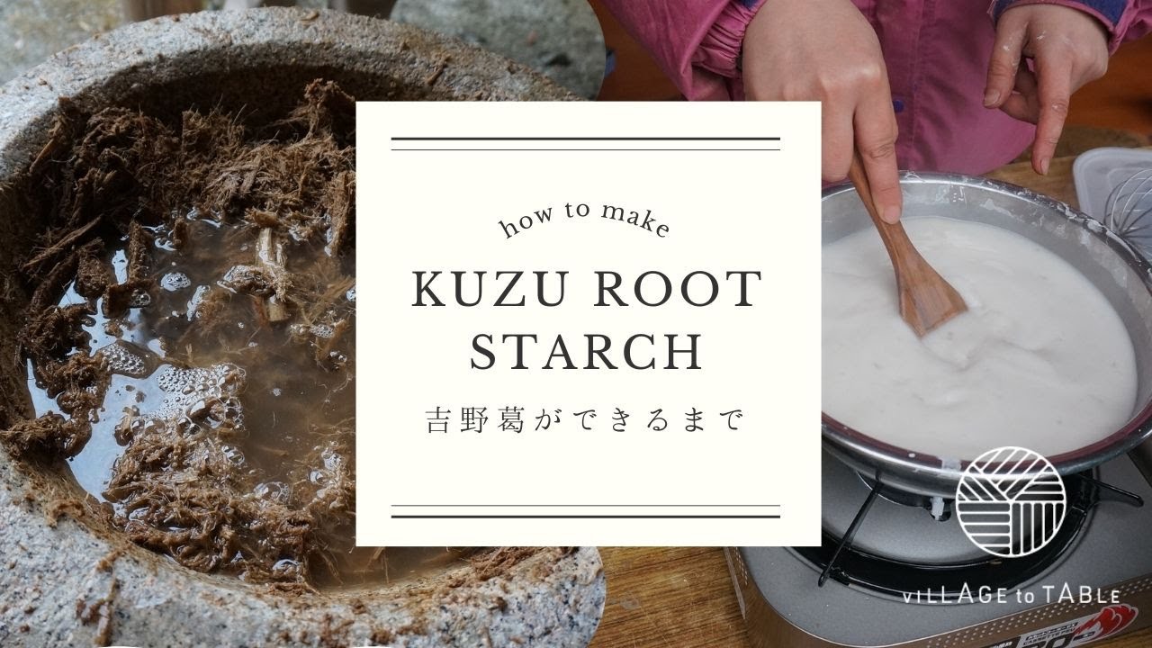 葛の根から吉野葛ができるまで How to process Kuzu (kudzu) root starch - YouTube