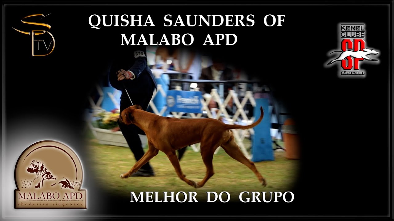 QUISHA SAUNDERS OF MALABO APD Melhor do Grupo KCSP Março 2023 - YouTube