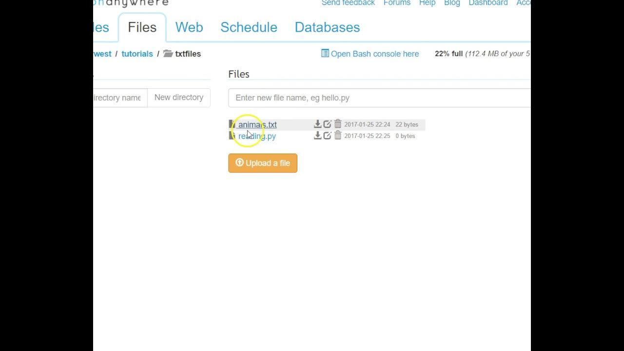 Python - How to read from a text file - YouTube
