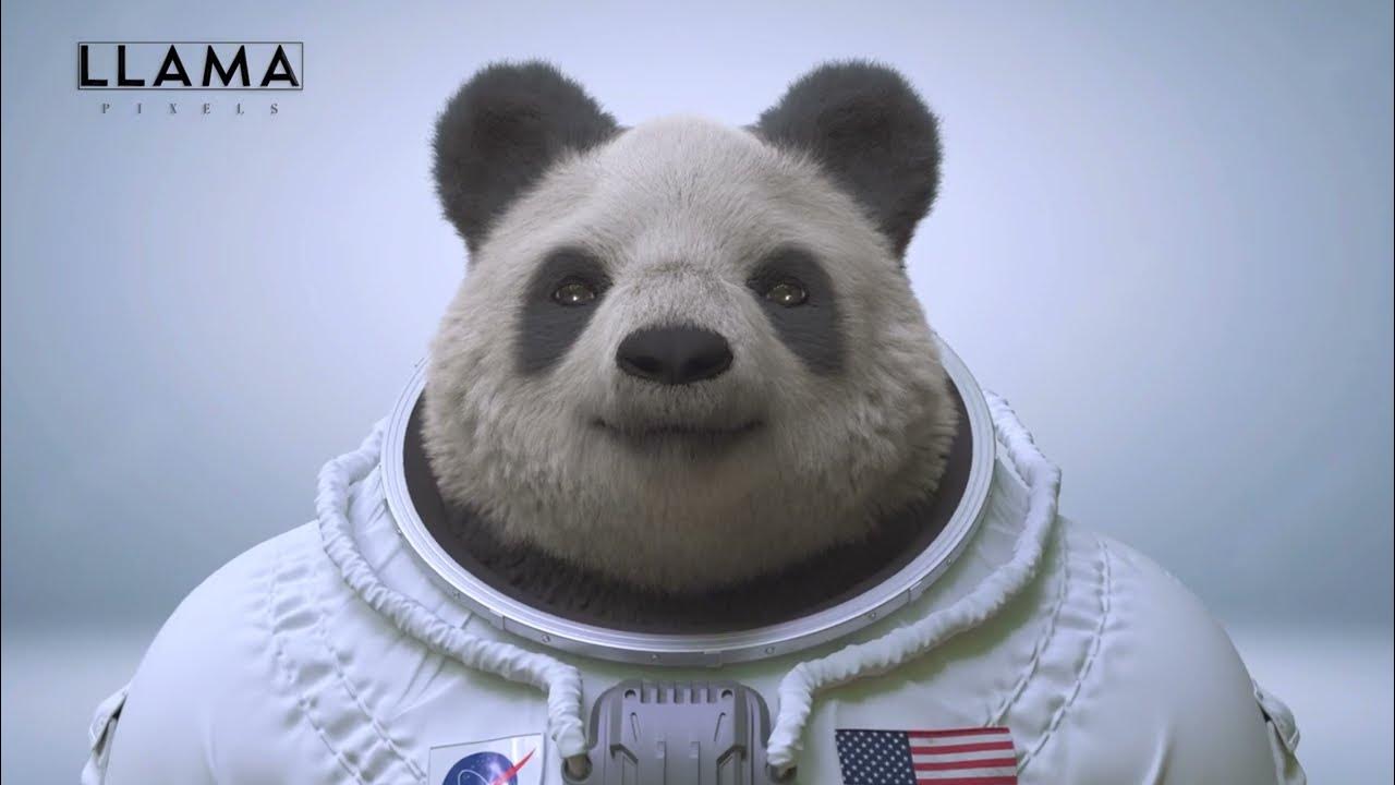 Panda 3D Character Turnaround - YouTube