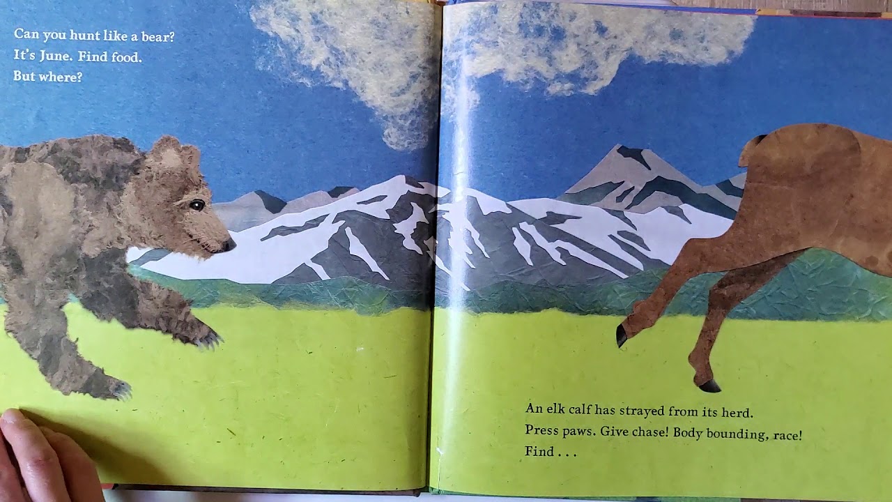 🏞️Eat Like a Bear -- read aloud - YouTube