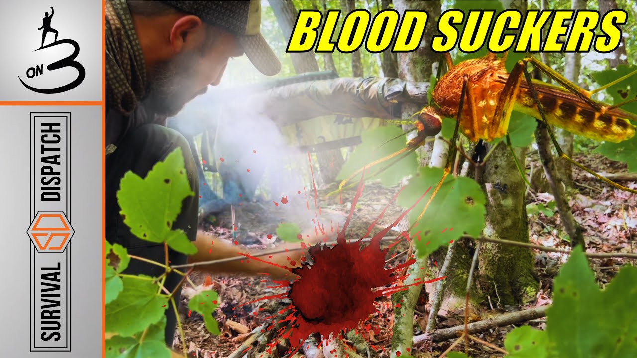 Prepare for the Worst: Expert Tips for Survival Camp in SHTF Situations ...