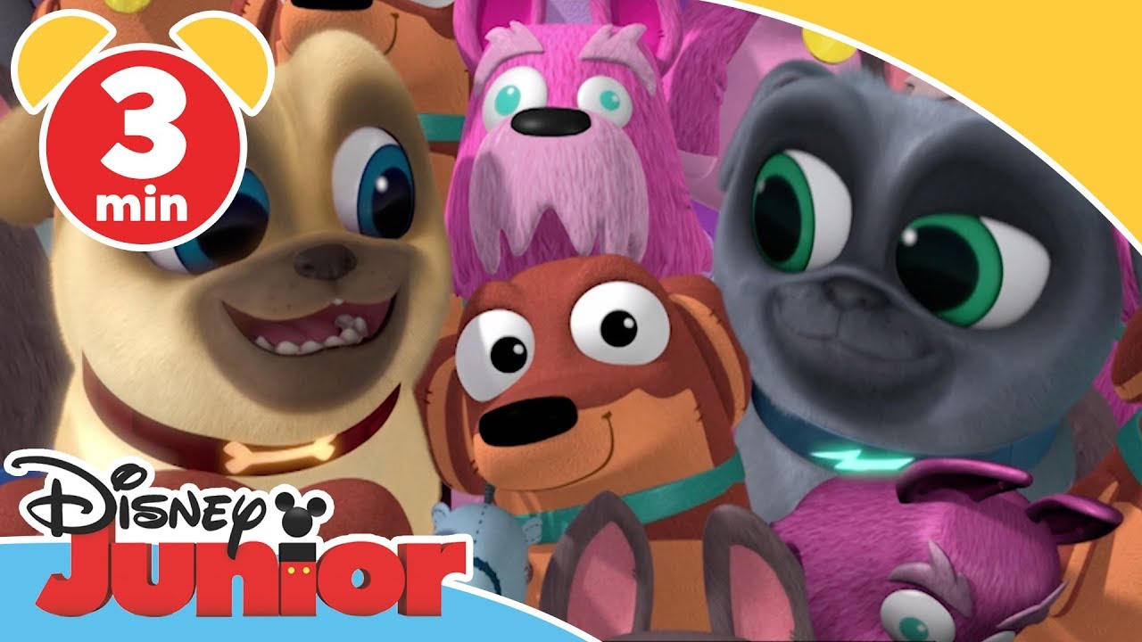 Valpevenner | Fikser Vovvov - Disney Junior Norge - YouTube