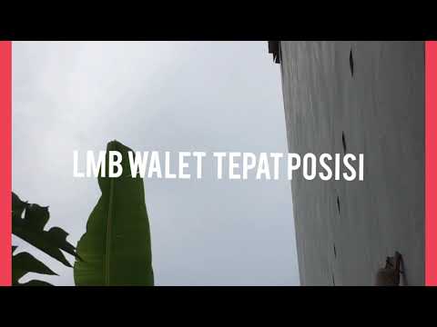 Posisi yang tepat  dan ukuran LMB pada gedung walet (RBW)  l paindo walet