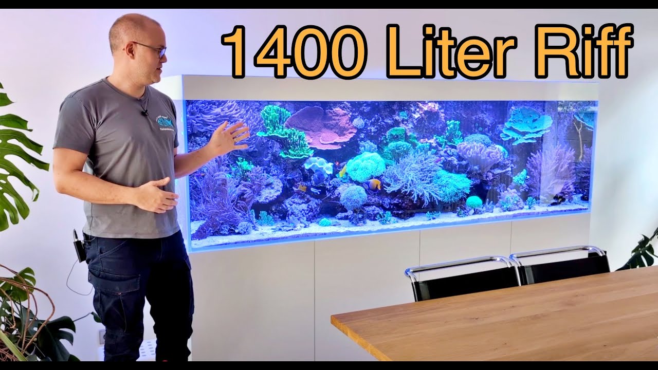 Aquariumportrait: Christians 1400L Becken nach 3 Jahren |Teil 3 der ...
