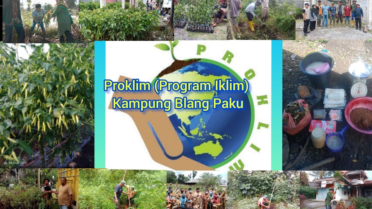 Proklim - Program Kampung Iklim Desa Blang Paku. "Penanaman Pohon Bambu ...