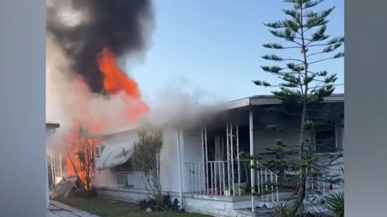 EN VIVO: Noticiero Telemundo 51 Miami | 17 de noviembre - YouTube