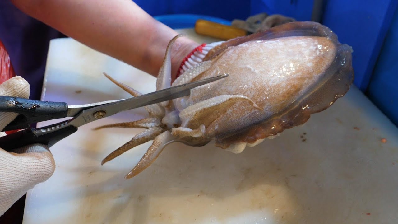 갑오징어 회뜨기, 회 예쁘게 손질법 / Amazing live cuttlefish cutting skills - Korean ...