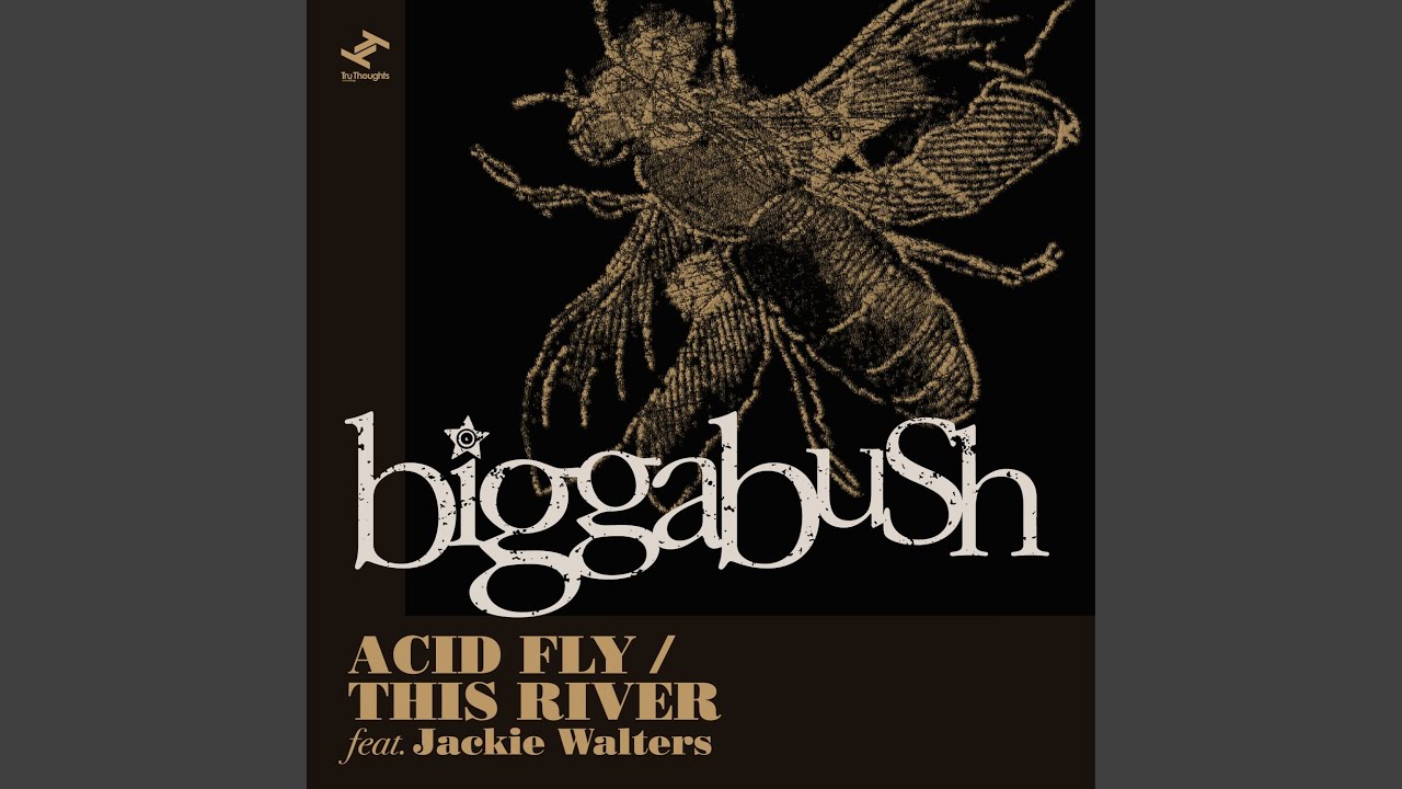 Acid Fly - YouTube