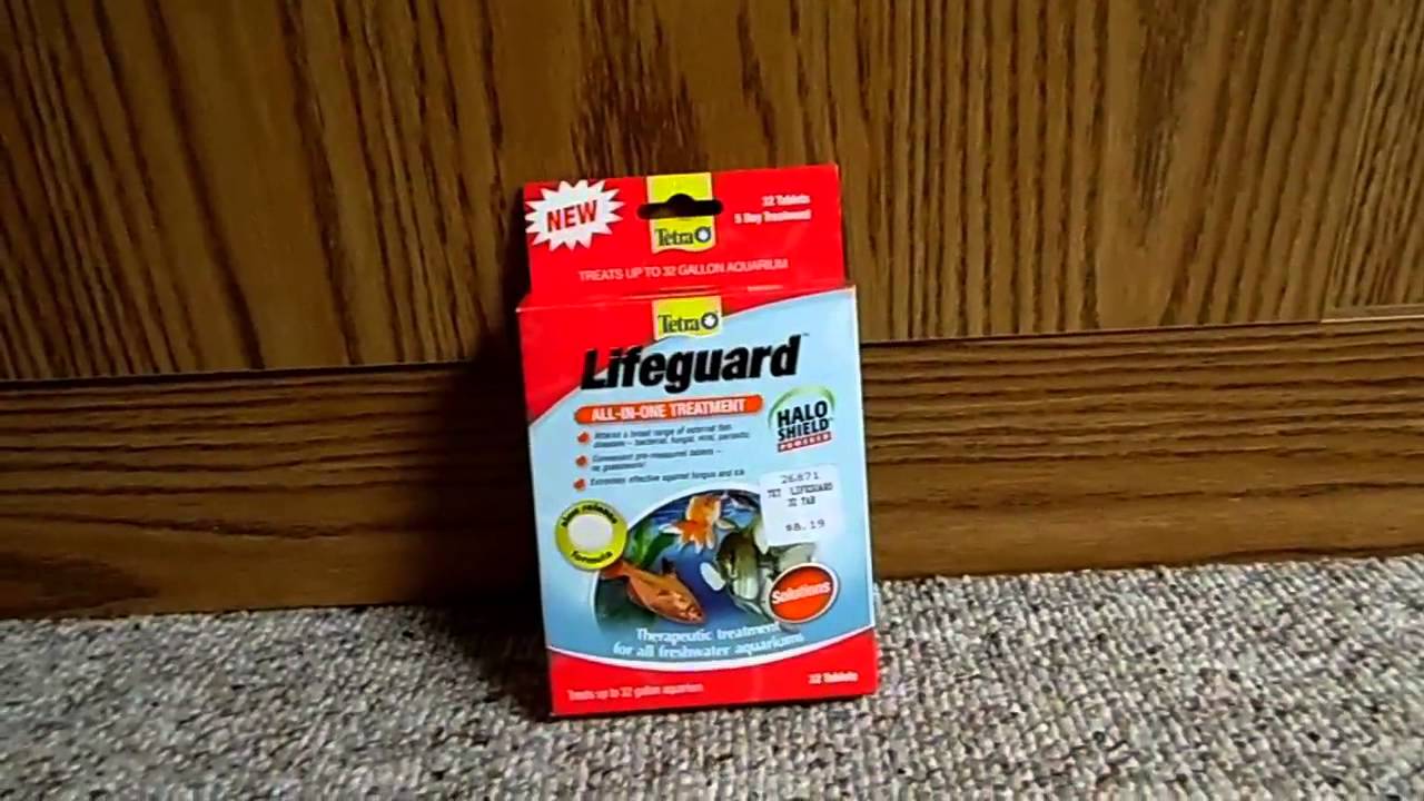 LifeGuard All in One Review - YouTube