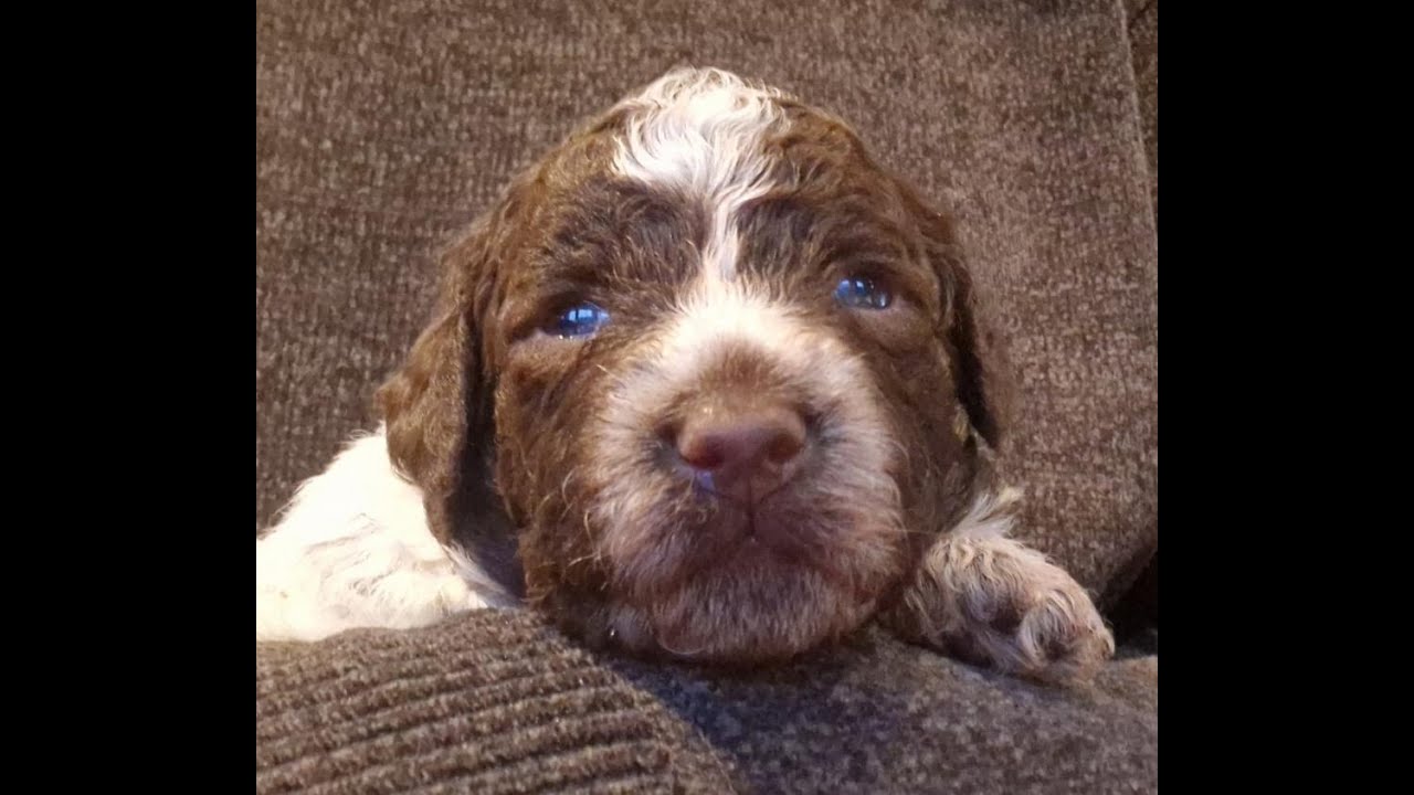 First time outside - YouTube