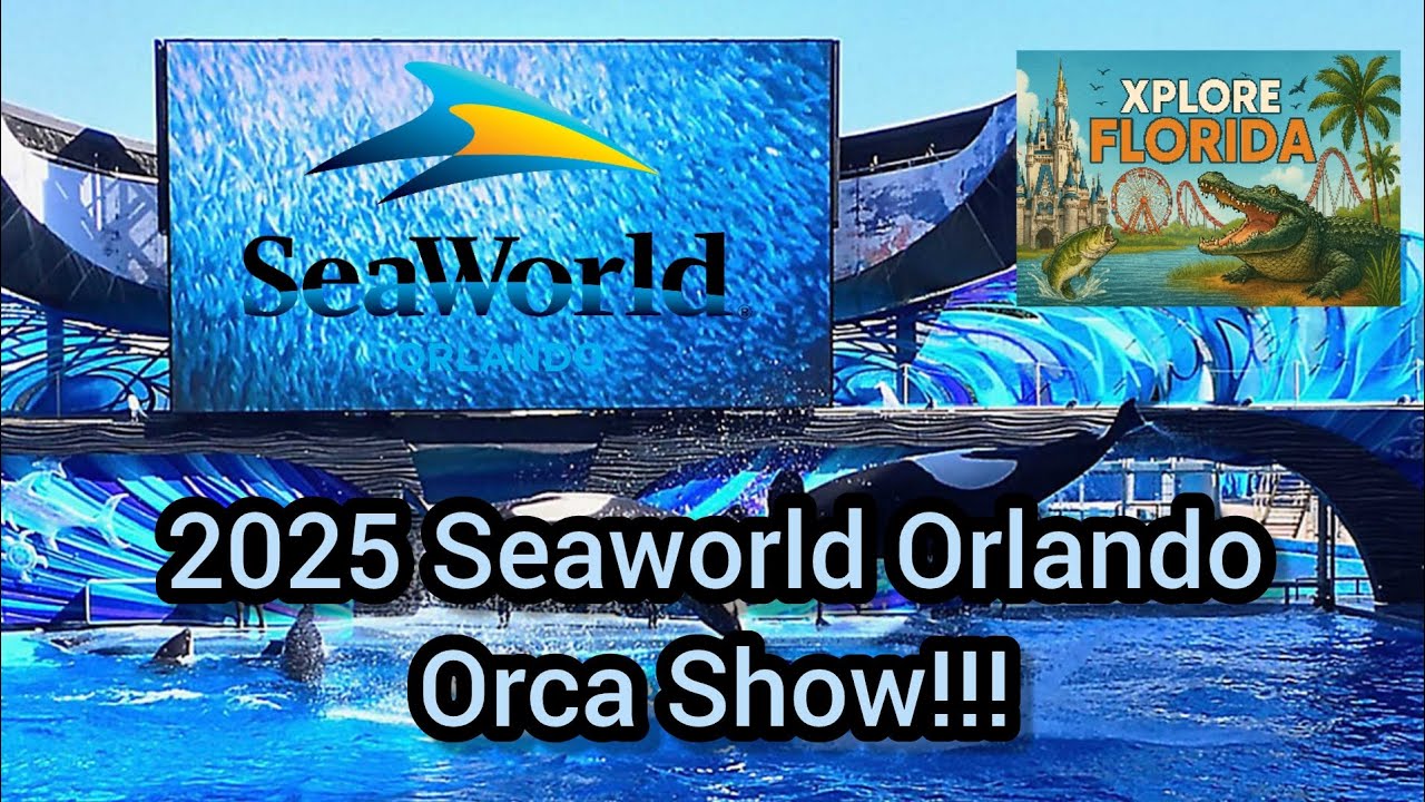 2025 SeaWorld Orlando ORCA Show in 4K | Full Killer Whale Performance ...