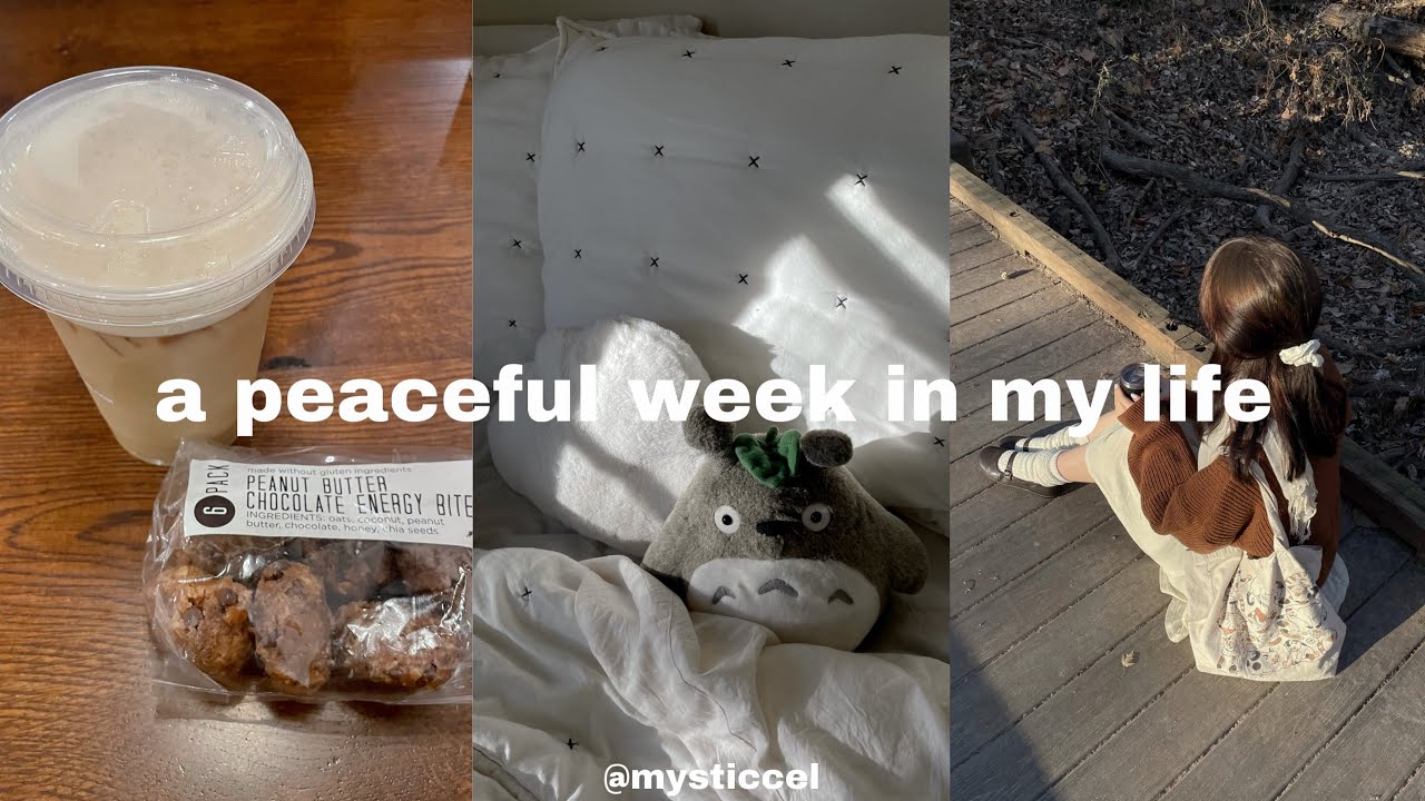 peaceful week in my life vlog ☕️🧸 shopping, coffee, ghibli, lofi, no ...