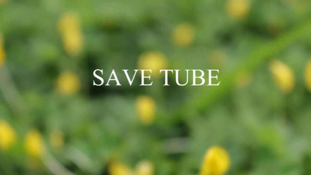 SAVE TUBE #HUTSRI25 - YouTube