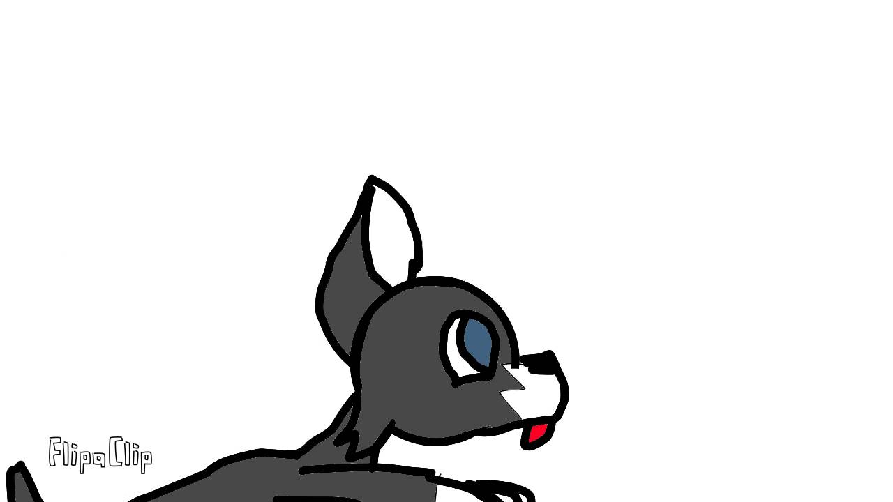 katze animation - YouTube