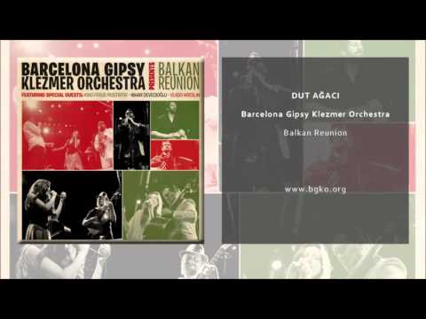 Barcelona Gipsy Klezmer Orchestra Feat. Nihan Devecioglu (Vox) - Dut Ağacı