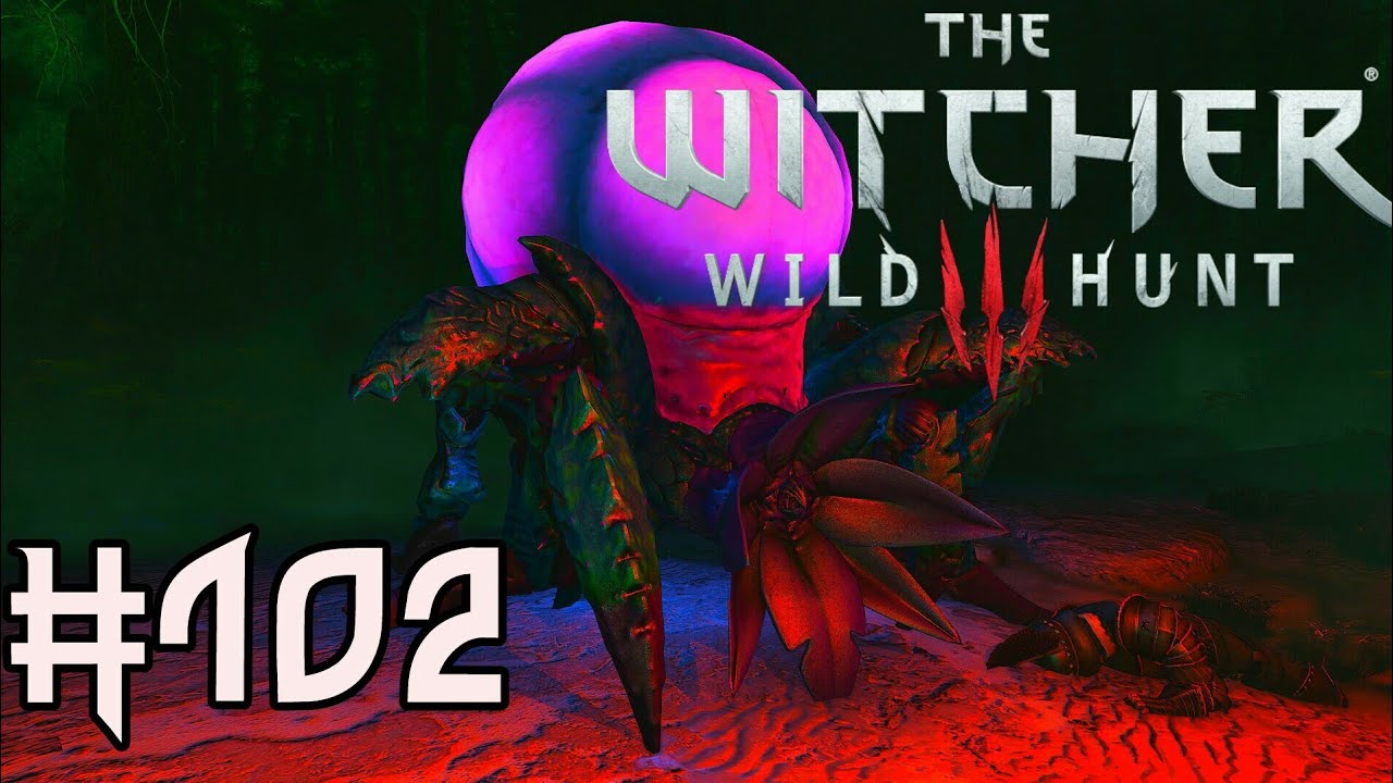 The Witcher 3: Wild Hunt Playthrough - Part 102: The Arachas Lair - YouTube