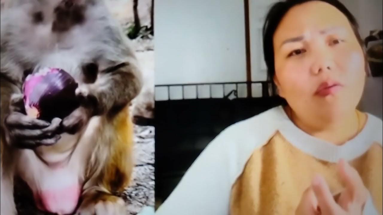 paj zoo los teb txhiaj vwj Lauj cov lus dua lawm es nej los koom kuv nawb😂 - YouTube