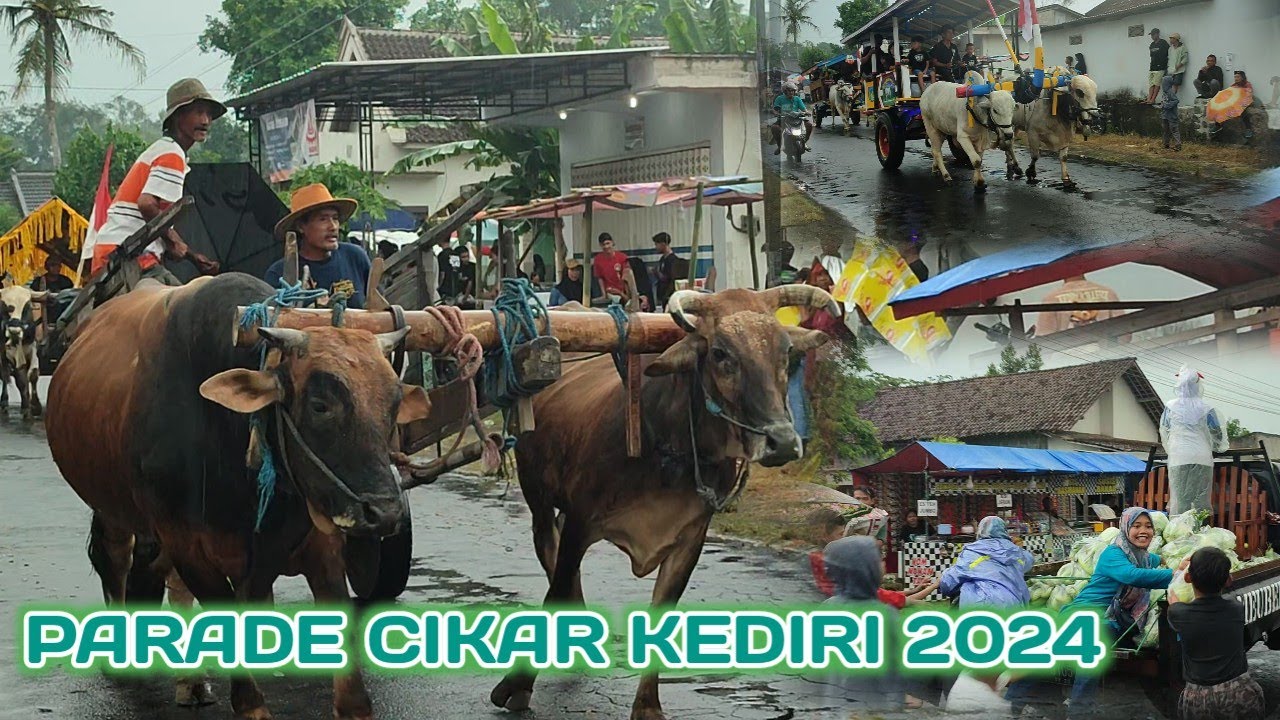 PARADE CIKAR SAPI , DESA BATUAJI KEDIRI 2024, SOBAT NGARET KEDIRI - YouTube