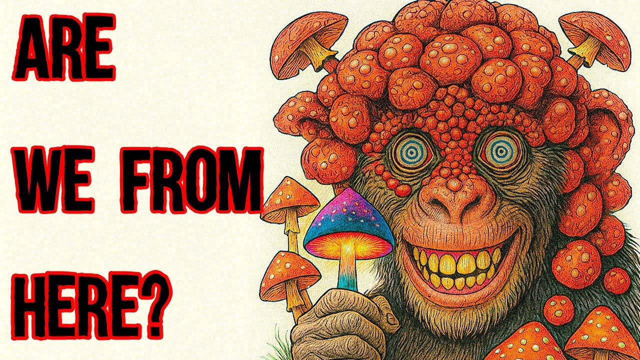 How Magic Mushrooms Shaped Human Evolution - Stoned Ape Theory - YouTube