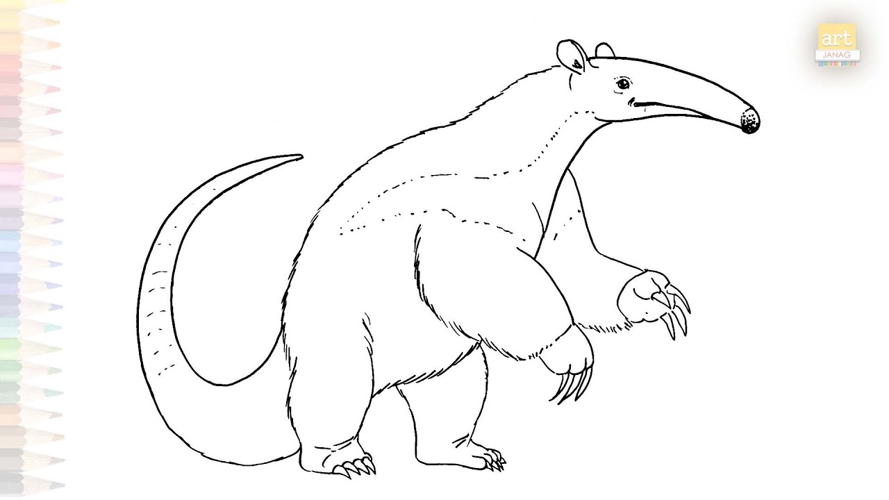 Giant anteater drawing easy | Animal outline sketches | How to draw ...