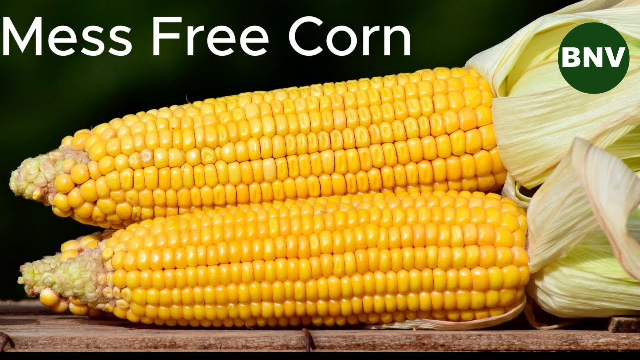 No Mess Corn on the Cob - YouTube