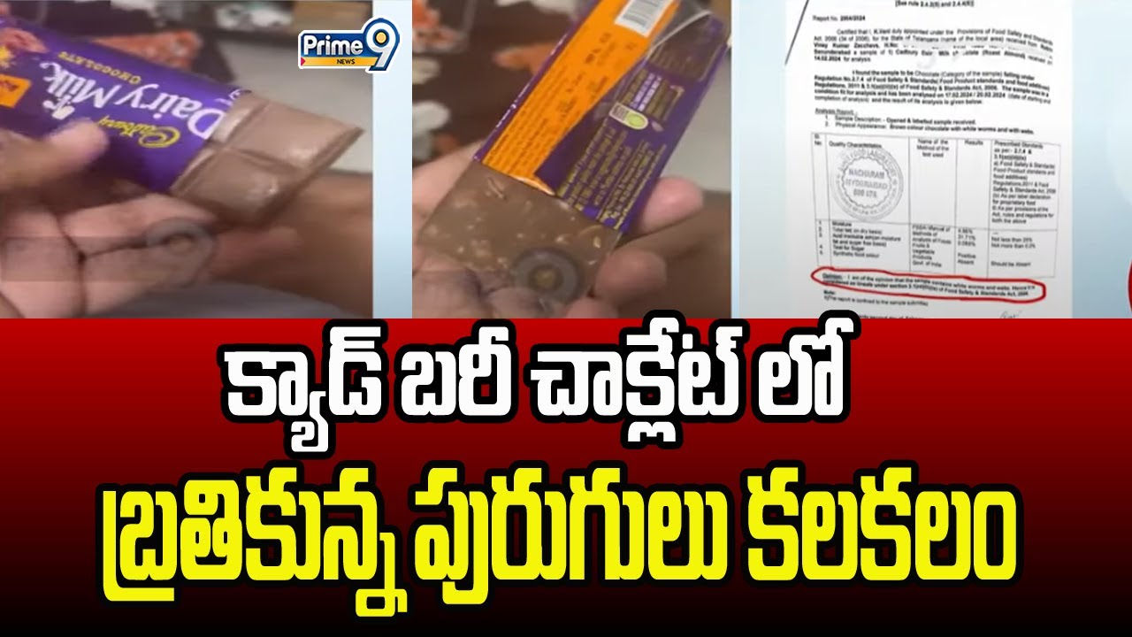 క్యాడ్ బరీ చాక్లేట్ లో పురుగులు కలకలం | Insects in Cadbury Chocolate ...