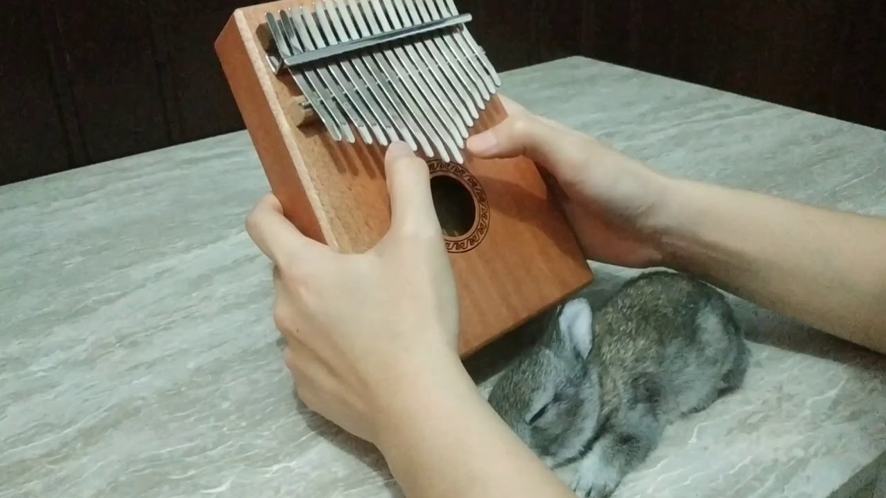 KALIMBA [THE SCIENTIST] TRIBUTE TO BUNNIES MOM - YouTube
