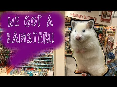 Adopting a New Hamster? | Shopping In Pets At Home & Ikea