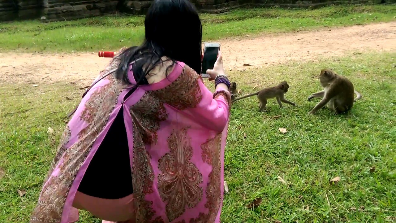 Smart Girl And Funny Monkey Videos Amazing Monkey Meeting Beautiful ...