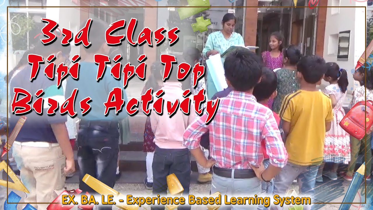 3rd Class tipi tipi top birds Activity At Oasis Public School, Warangal ...