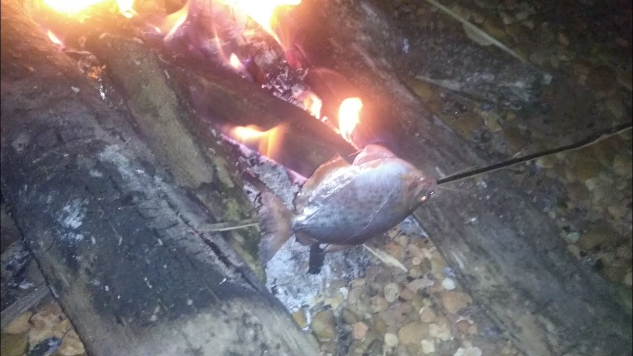 FOGUEIRA, PEIXE ASSADO E FRITO NA PESCARIA. - YouTube