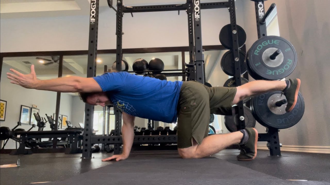 Birddog Exercise Demonstration - YouTube