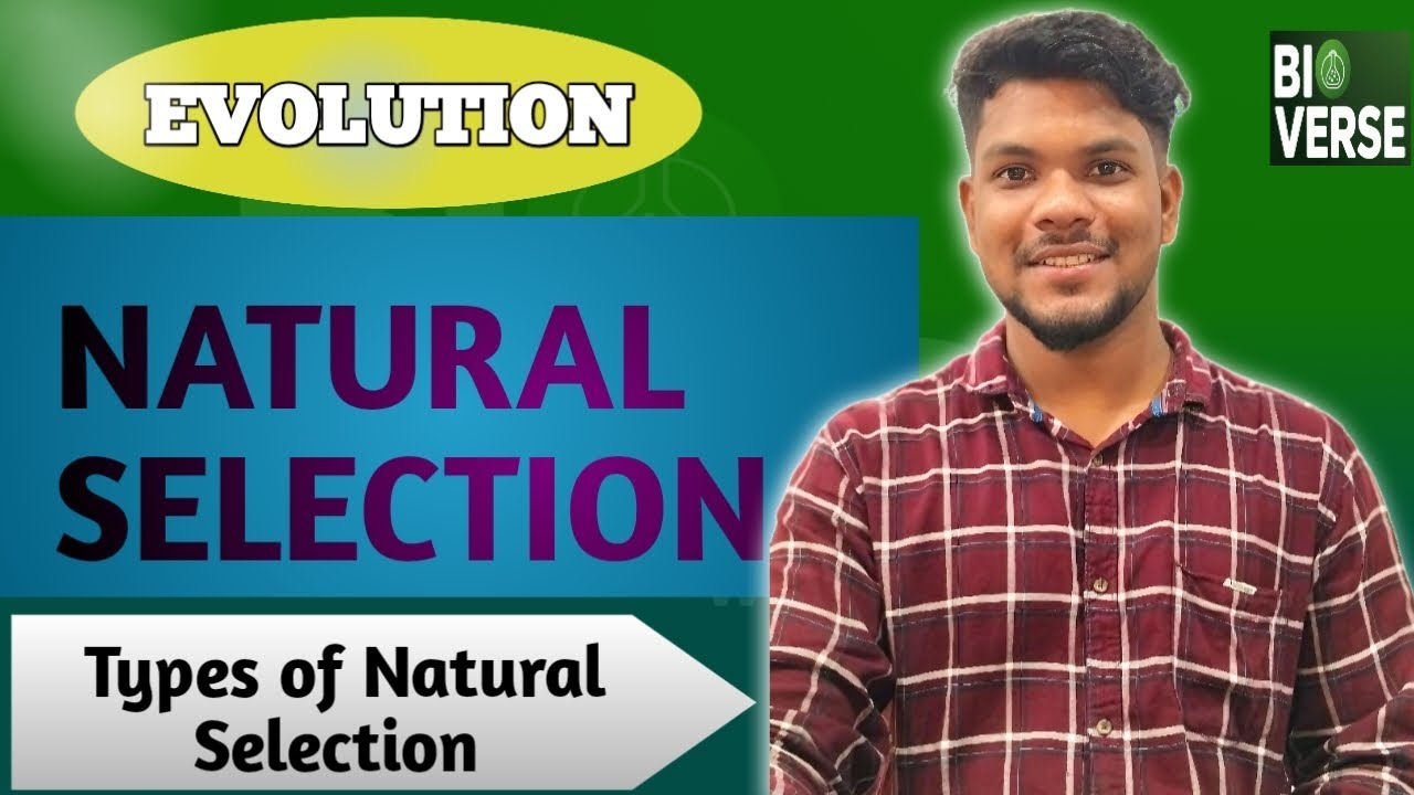 Natural Selection & Its Types | Evolution /Class 12 & NEET/Bioverse ...