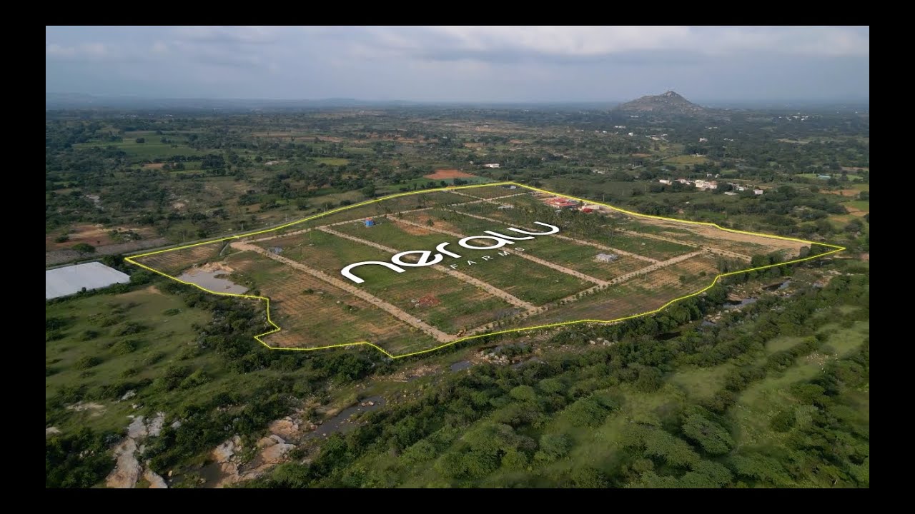 Own a Piece of Nature: Discover Neralu Farms - Managed Farmland Near ...