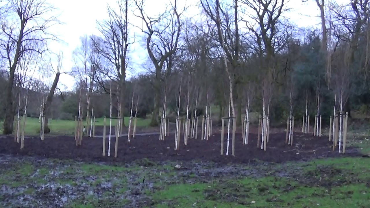 #tameside Stalybridge In View ENGLAND UK - YouTube