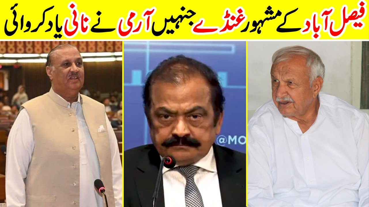 Faisalabad 8 Most Famous Dons | Amazing Info - YouTube