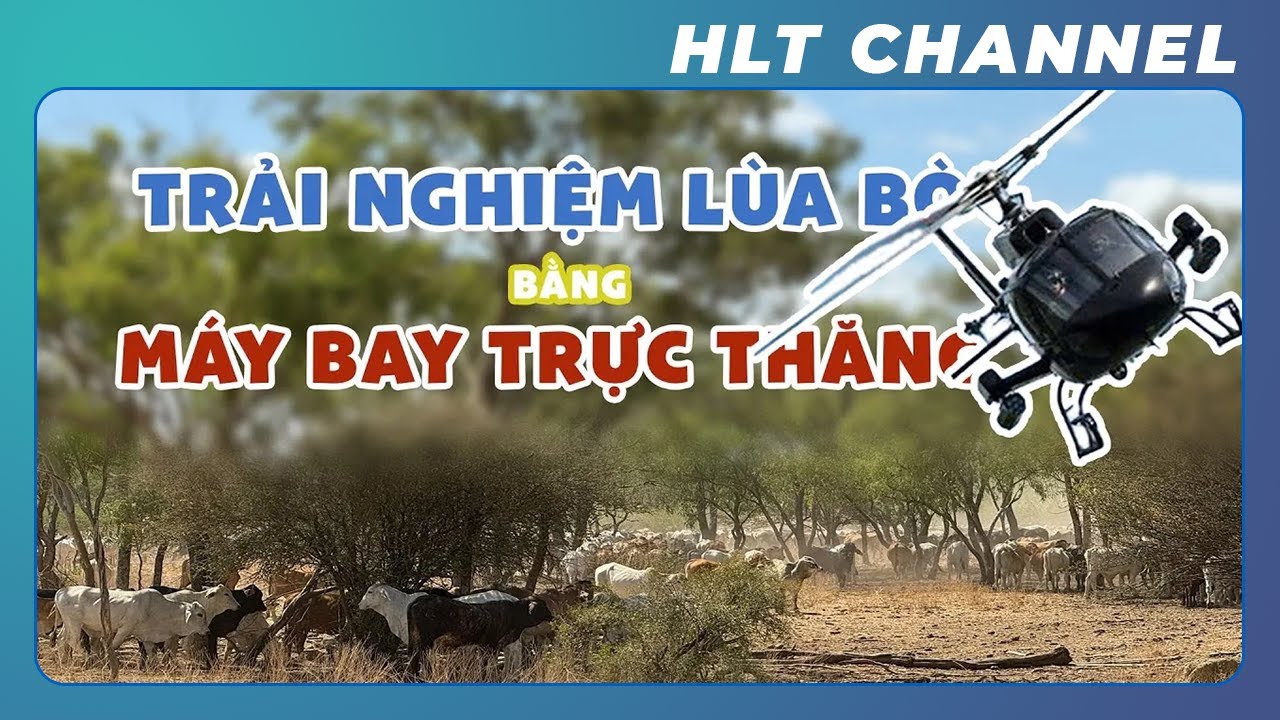 Helicopter Farming: The Ultimate Cow Herding Experience - YouTube
