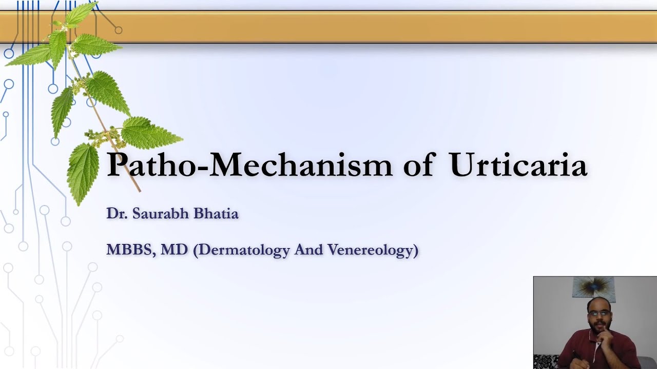 Patho-Physiology of Urticaria: Role of Mast Cells, Basophils ...