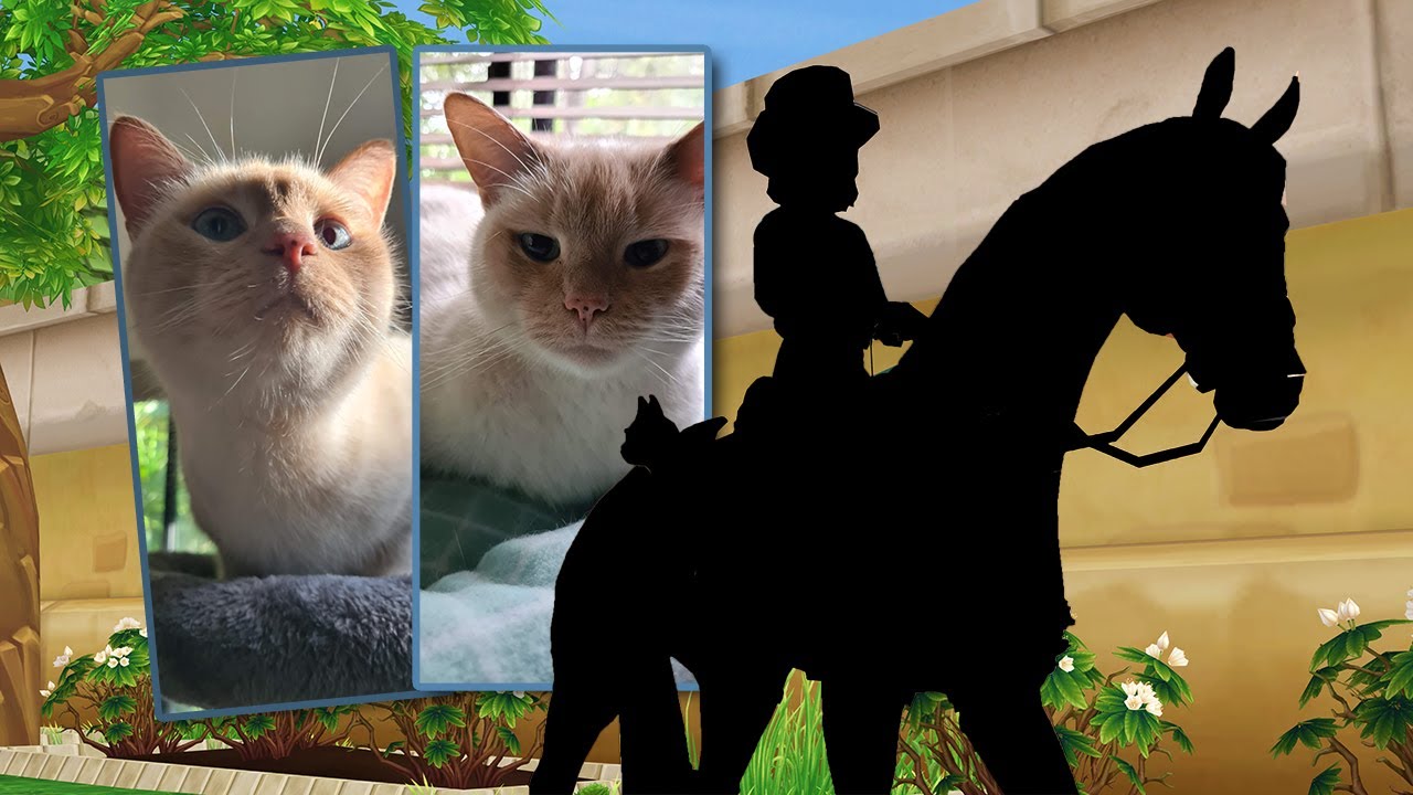 Star Stable My CAT CHOOSES THE HORSE I BUY - YouTube