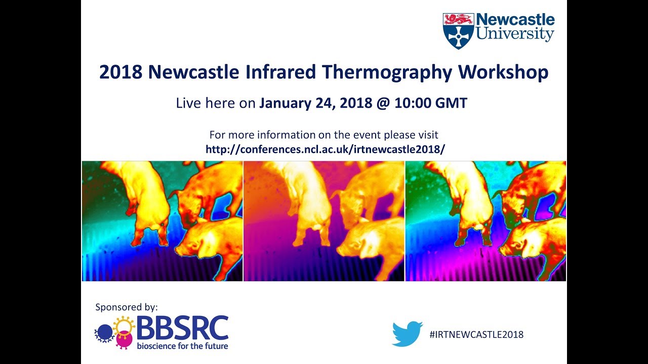 IRT NEWCASTLE 2018 - YouTube