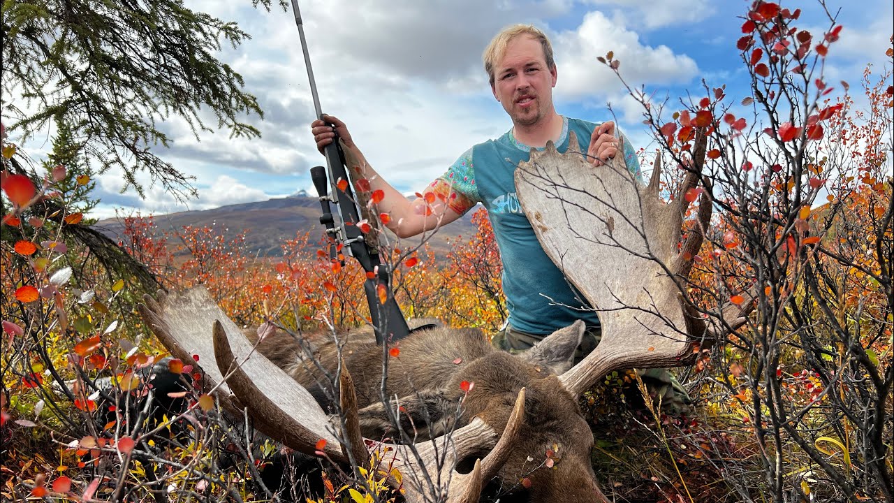 Moose Hunting Alaska Self Guided Hunt - YouTube
