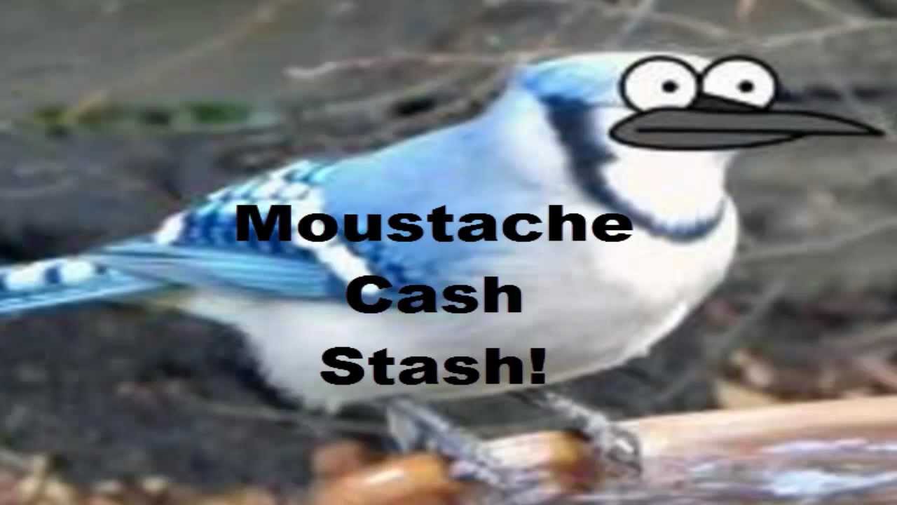 Mustache Cash Stash - YouTube