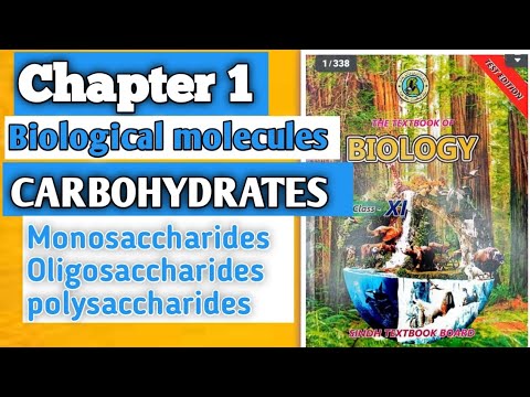 carbohydrates class 11 biology sindh board - YouTube