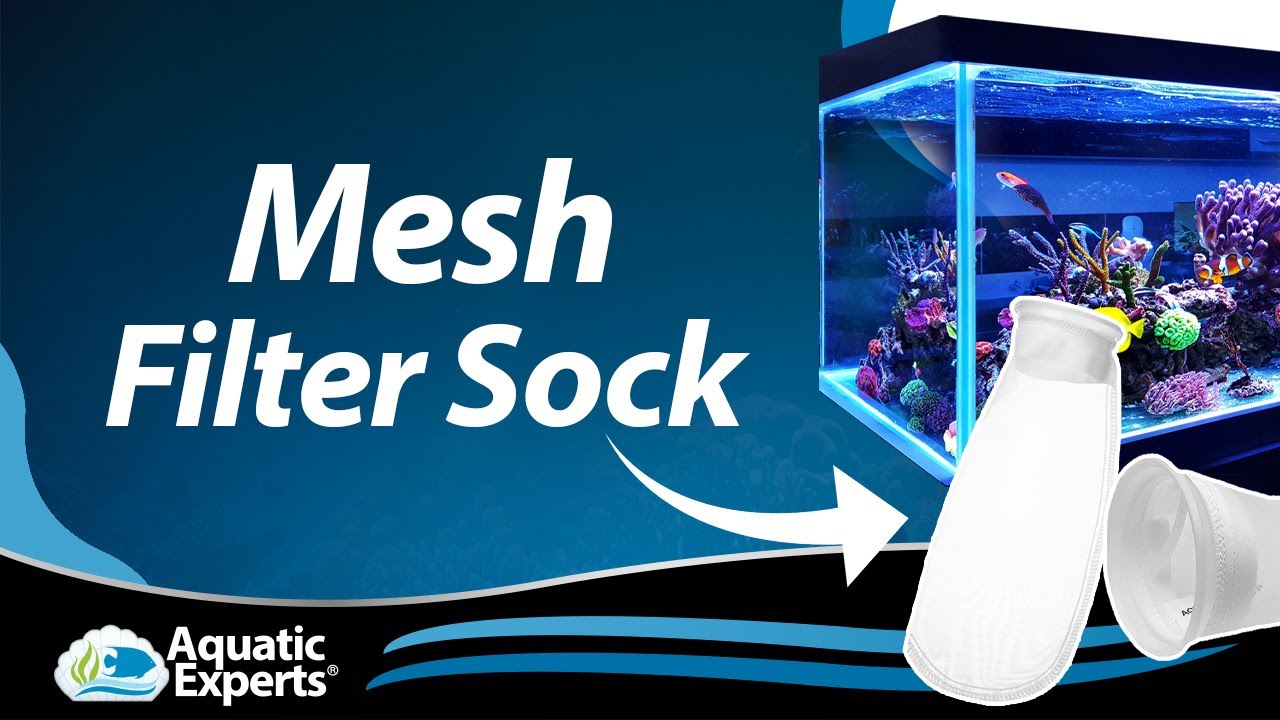 HOW TO USE AQUATIC EXPERT'S MESH FILTER SOCKS - YouTube