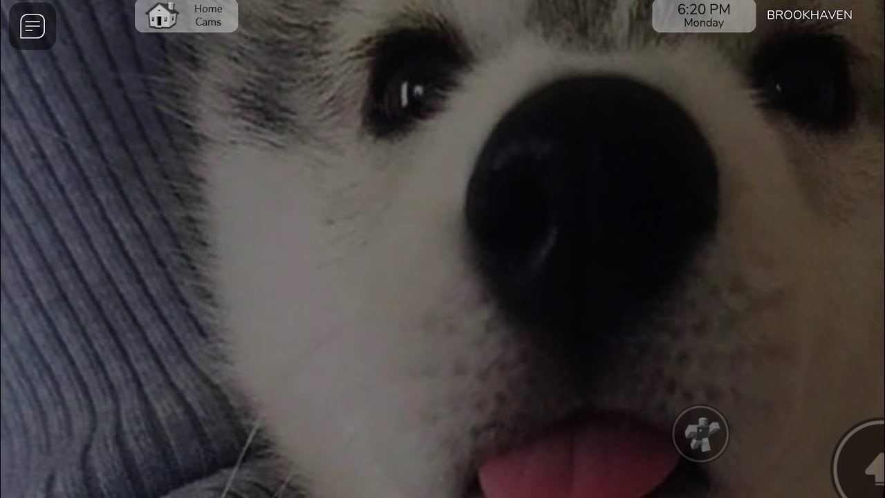 Drawing weird strict dad in spray paint and earth in spray paint - YouTube