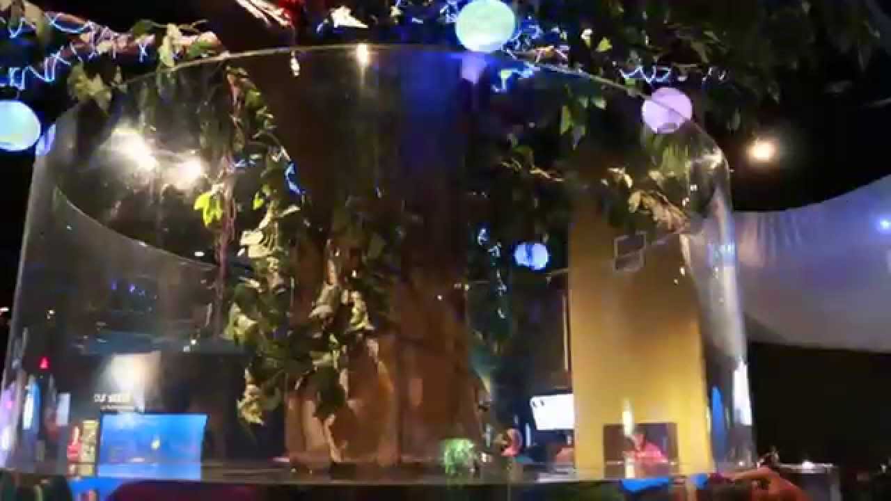 Electric Eel Lighting Tree, Vancouver Aquarium, Stanley Park, Vancouver ...