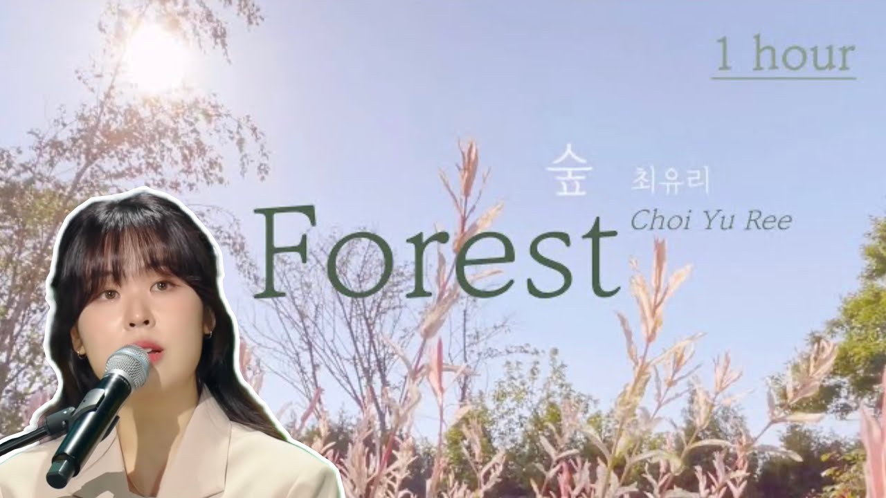 [1 hour] '숲' (Forest) - 최유리 (Choi Yu Ree) | 𝐩𝐢𝐚𝐧𝐨 𝐜𝐨𝐯𝐞𝐫 | 1시간 듣기 - YouTube